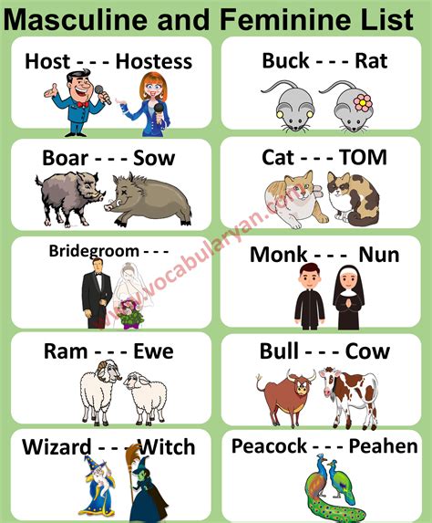 Masculine And Feminine Gender List In English – Vocabularyan