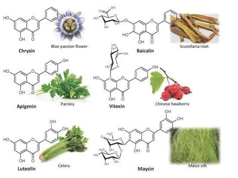 Plants Free Full Text Flavones From Biosynthesis To Health Benefits