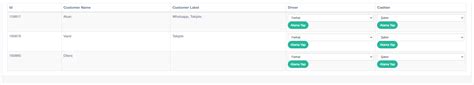 creating table from nested json object — datatables forums