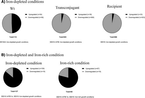 Global Transcriptomic Analyses Of S Enterica By Rna Seq Total Of 12