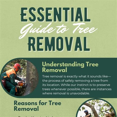 Essential Guide To Tree Removal What Every Homeowner Should Know Pdf