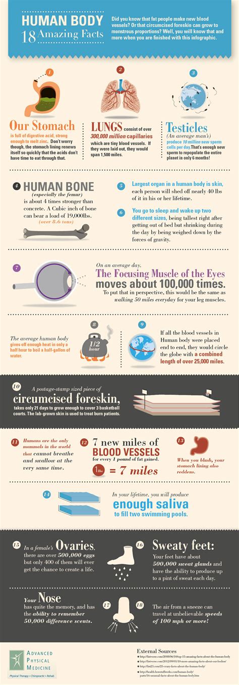 18 Amazing Facts About The Human Body Visual Ly