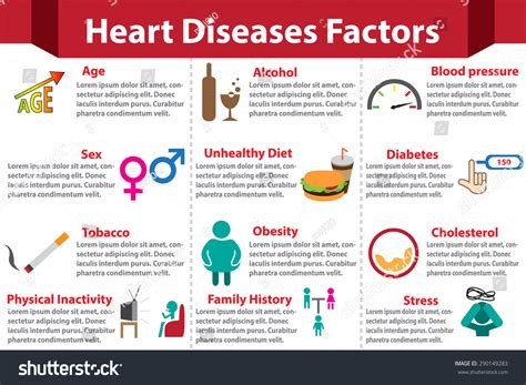 Heart Disease Factors Infographics With Colorful Color For For Medical