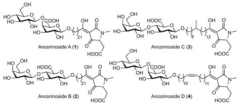 Marine Drugs Free Full Text Synthesis And Bioactivity Of
