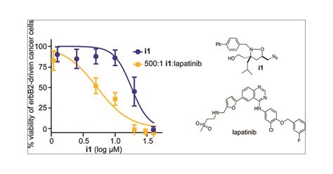 Synergistic Enhancement Of The Potency And Selectivity Of Small