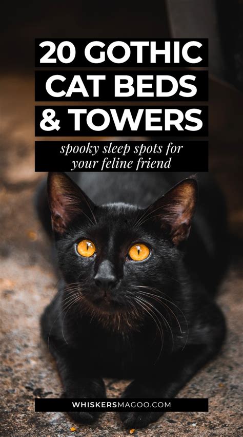 20 Gothic Cat Beds And Towers You And Fluffy Will Love Whiskers Magoo