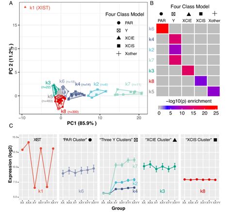 Clustering Sex Chromosome Genes By Sex Chromosome Dosage Scd