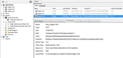 autopsy user documentation data source integrity module