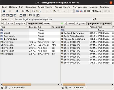 x file explorer linux hub