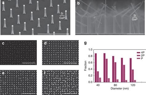Gap Si Nanowire Arrays A Sem Image Of An Array Of 60 Nm Diameter