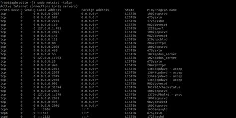 how to watch tcp and udp ports in real time in a linux server · netshop isp