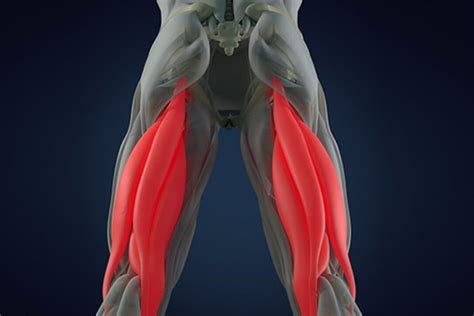 Lying Leg Curl Exercise Guide Get The Most Out Of Your Workout Dmoose