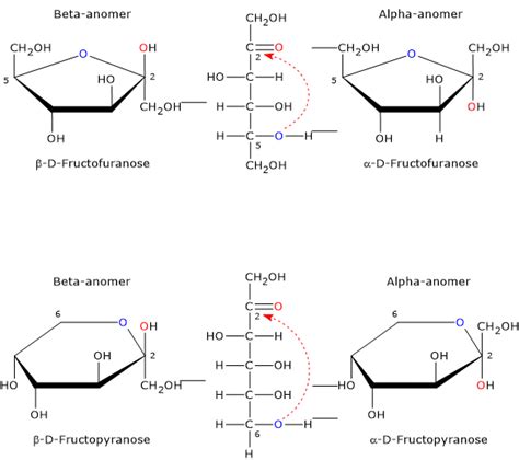 Structure Of Glucose Fructose And Sucrose