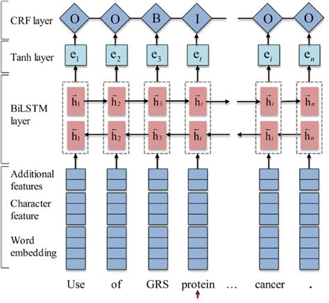 a neural network approach to chemical and gene protein entity