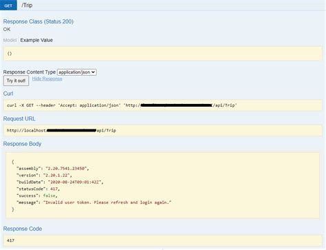 web api swagger bearer authentication isn t