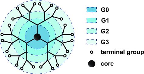 Schematic Representation Of Dendrimer Structure Download Scientific