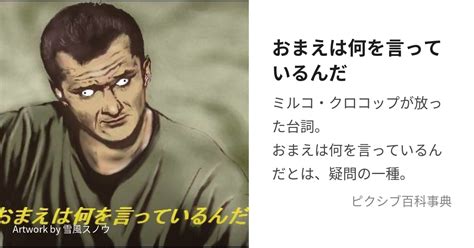 おまえは何を言っているんだ おまえはなにをいっているんだ とは【ピクシブ百科事典】