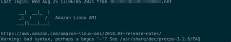linux warning bad syntax perhaps a bogus has started to
