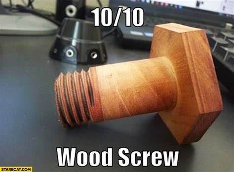 best memes s and funny pictures online