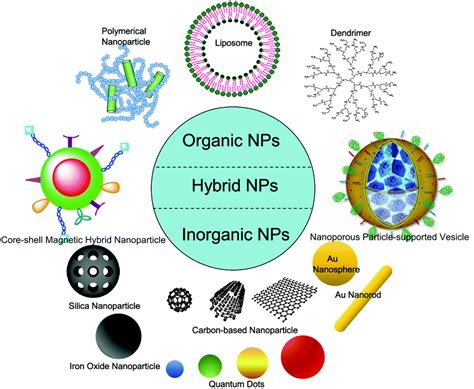 Computational Approaches To Cell–nanomaterial Interactions Keeping