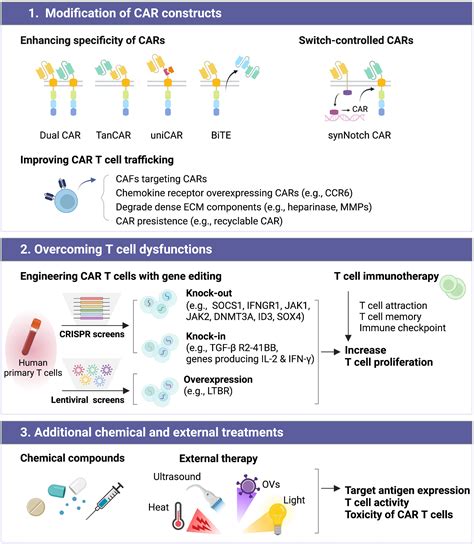 Frontiers Prospective Approaches To Enhancing Car T Cell Therapy For