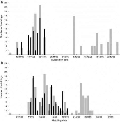 Sex Specific Frequency Distributions Of Hatchling I Lesueurii By A