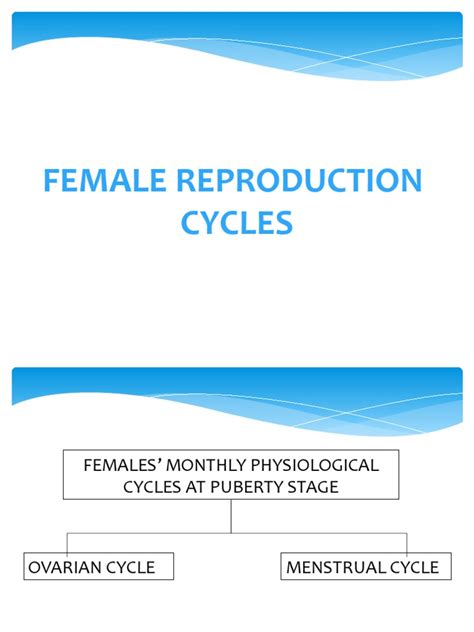 Female Reproductive Cycles Pdf