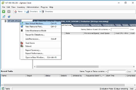 what is vmware vsphere client definition from