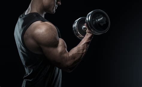 3 Reasons Why Bicep Curls Are Good For Your Shoulders Barbend