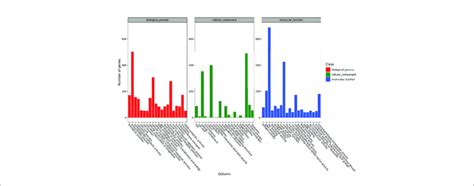 A Histogram Of The Enriched Subcategories After Gene Ontology Go