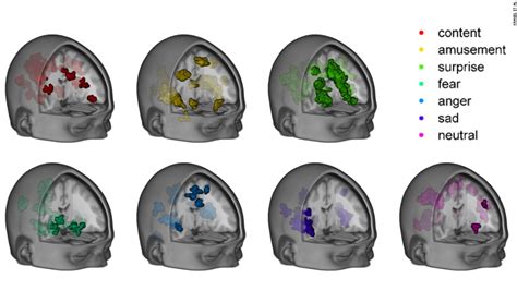 this is what emotions look like in your brain cnn