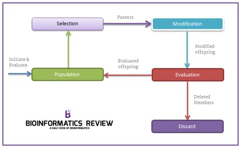 genetic algorithm explanation and perl code