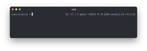 slimline minimal fast and elegant zsh prompt displays the right