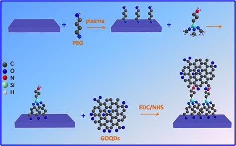 Schematic Illustration For Covalent Immobilization Of Goqds Onto The