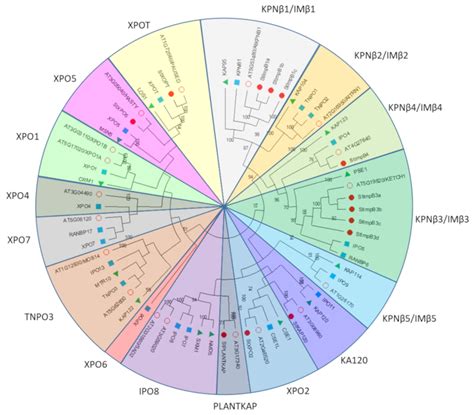 Ijms Free Full Text Genome Wide Identification Expression Profile