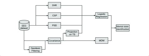Illustrative Summary Of The Classification Pipelines Each Path From