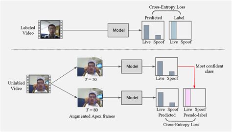 A Schematic Diagram Of Our Proposed Semi Supervised Learning