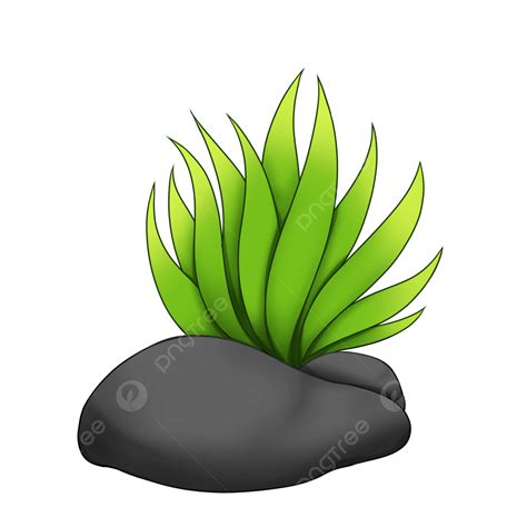 Gambar Batu Dan Rumput Batu Rumput Alam Png Transparan Clipart Dan