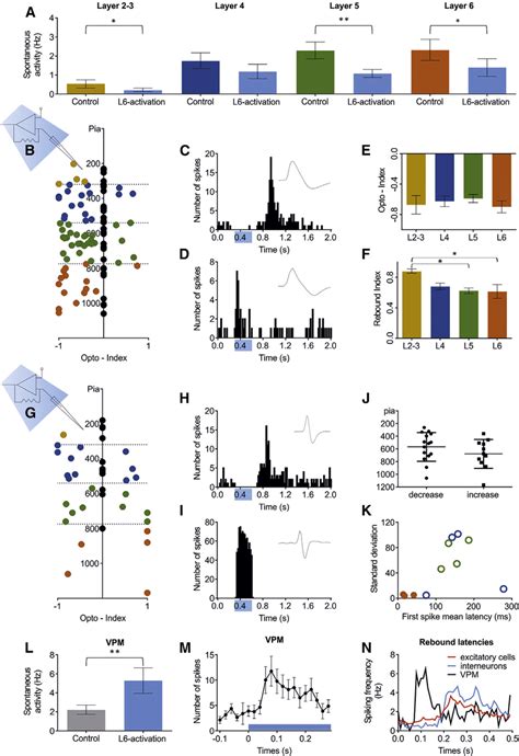 The Effect Of L6 Ntsr1 Activation On Spontaneous Spiking A Effect Of