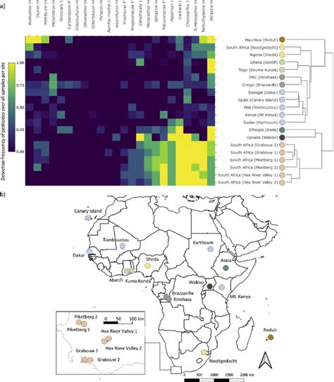 a heatmap and dendrogram showing the detection frequencies of the 24