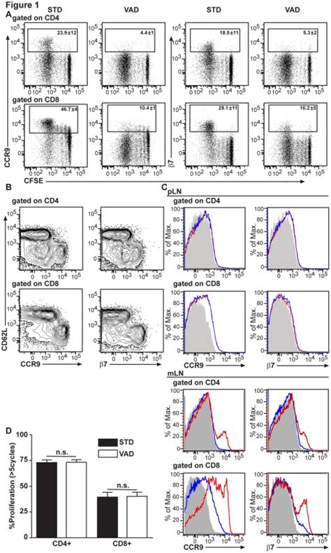 A The Expression Of Ccr9 And Integrin β7 Of Allogeneic C57bl 6