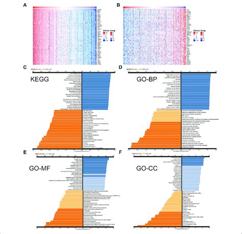 Heatmap Showing The 50 Genes With Largest Average Exp