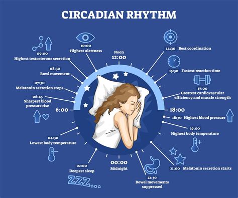 Circadian Rhythms And The Chinese Medicine Body Clock 1 2 44 Off