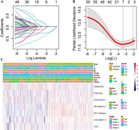 Construction Of Frls Prognostic Signature A Coefficients Of The Lasso