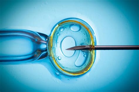 What Does In Vitro Fertilisation Treatment Entail