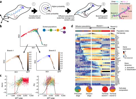 A New Statistical Method Allows Researchers To Infer Different