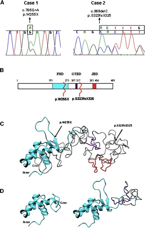 Foxg1 Is Responsible For The Congenital Variant Of Rett Syndrome The