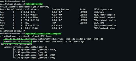 how to install openlitespeed server with php on ubuntu 18 04 lts