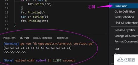 vscode编译运行go语言的方法 软件技术 亿速云