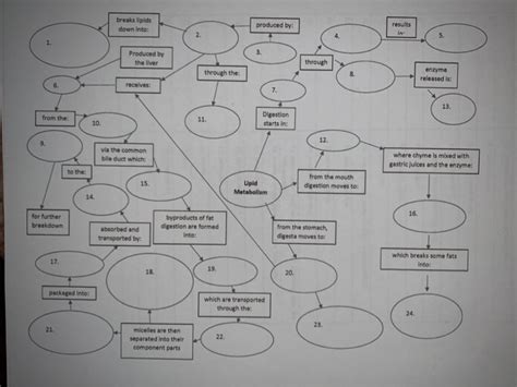 Lipids Concept Map Mcgraw Hill